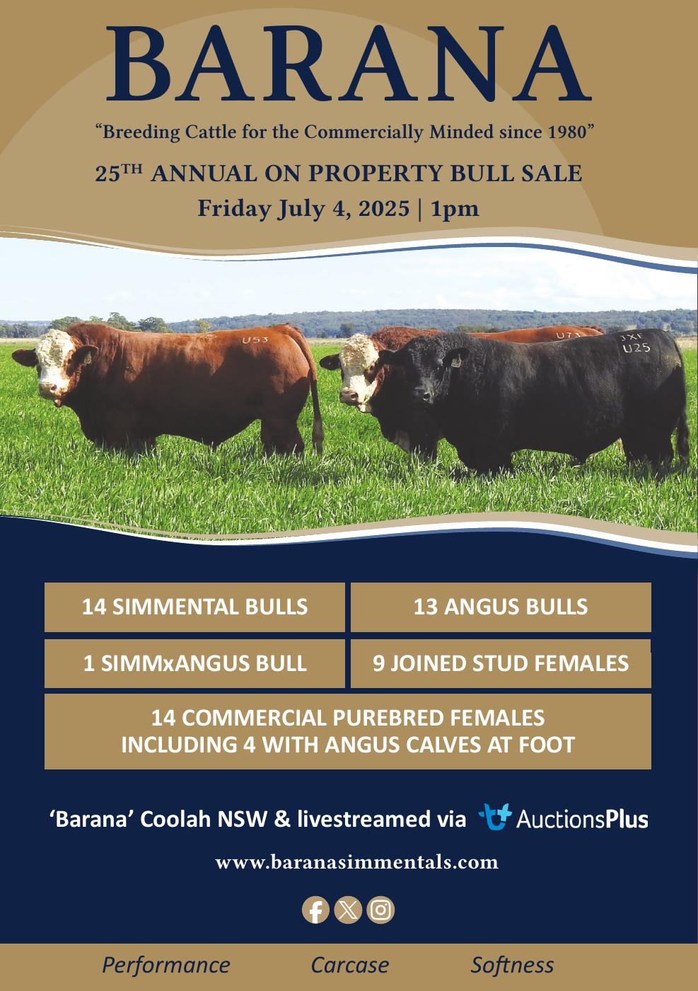 2025 Barana Sale Catalogue | PDF to Flipbook