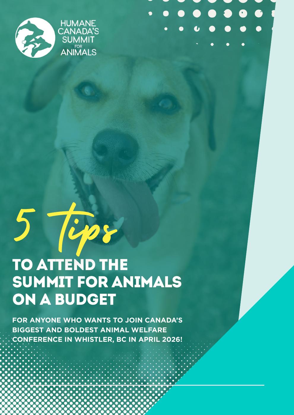 5 Tips to Attend the Summit for Animals on a Budget | PDF to Flipbook