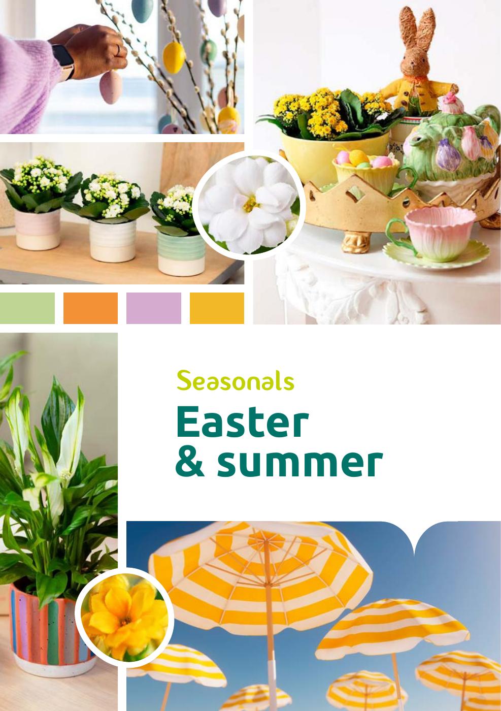 Easter/ summer 2026