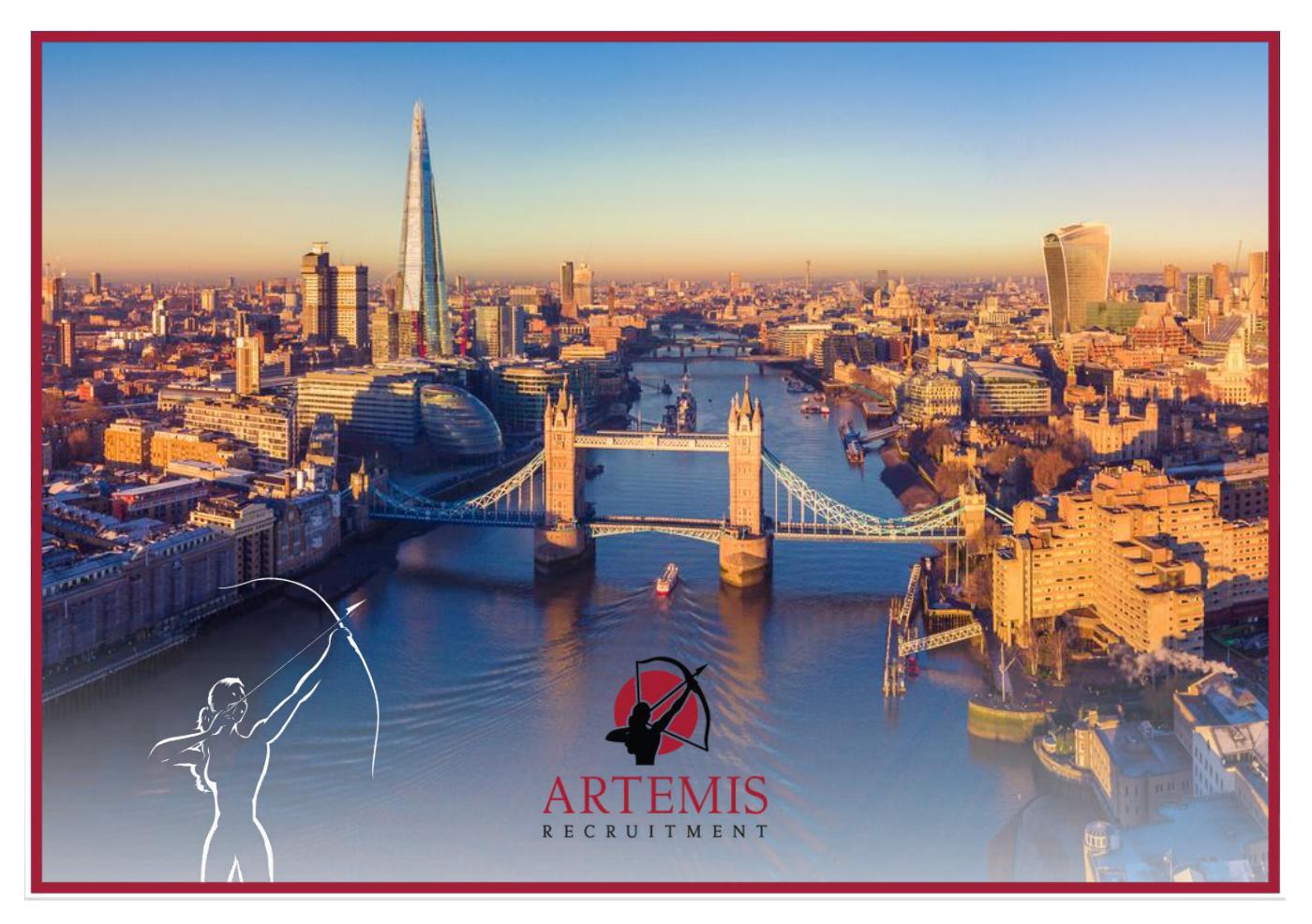 Artemis Recruitment Consultants Guide | PDF to Flipbook