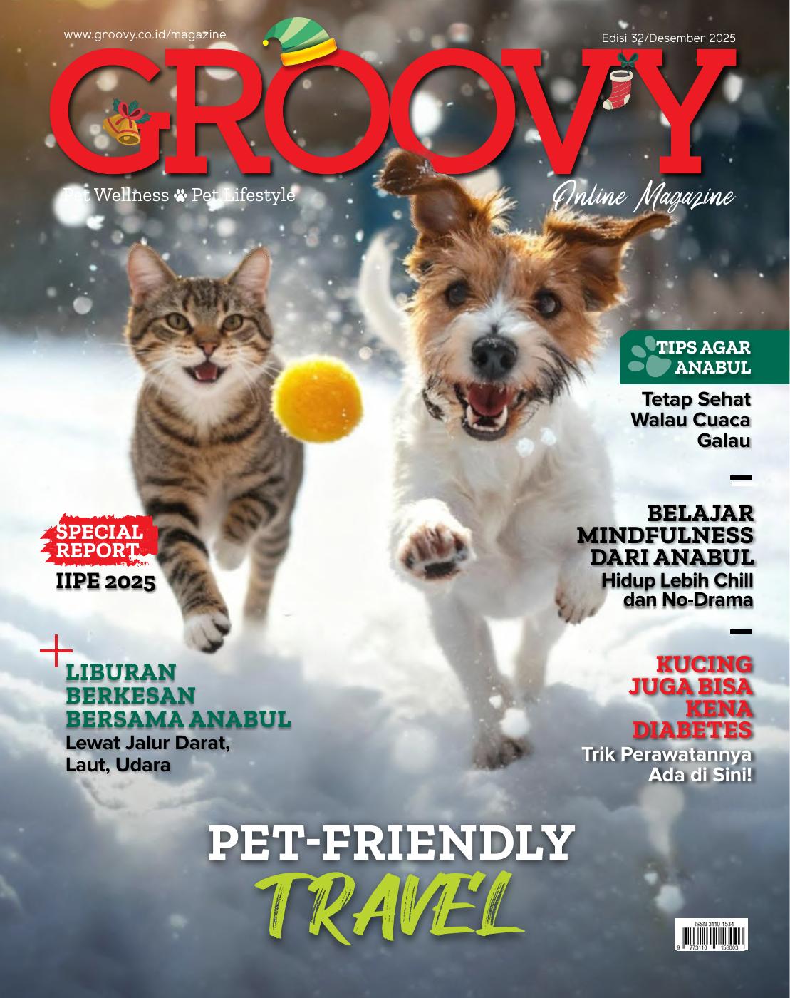 #32 GROOVY MAGAZINE