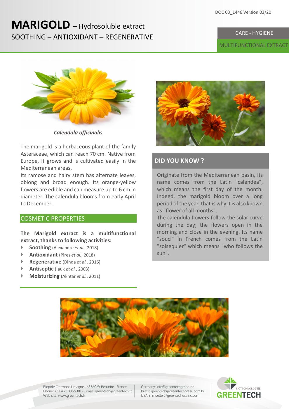 MARIGOLD EXTRACT
