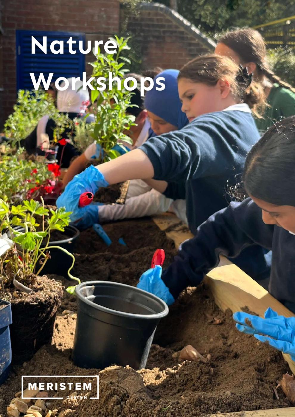 Brochure - Nature Workshops | PDF to Flipbook