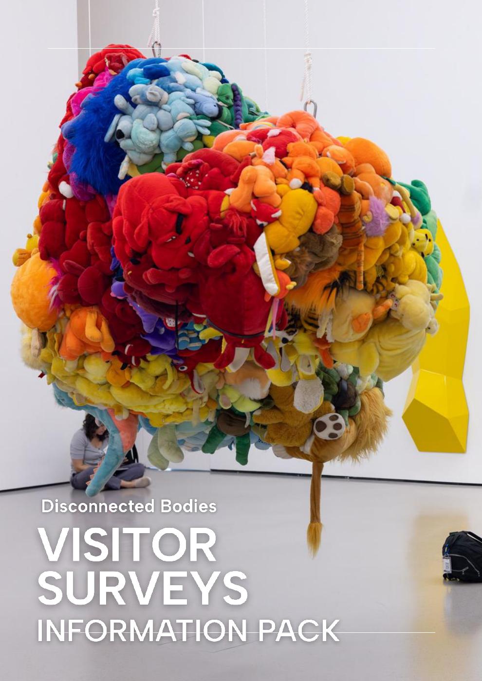 Visitor Surveys Information Pack | PDF to Flipbook