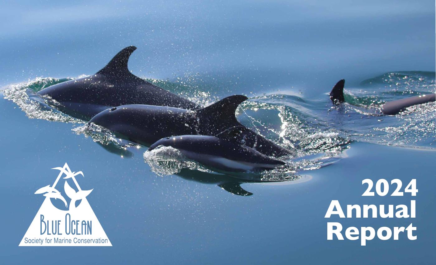 Blue Ocean Society 2024 Annual Report | PDF to Flipbook