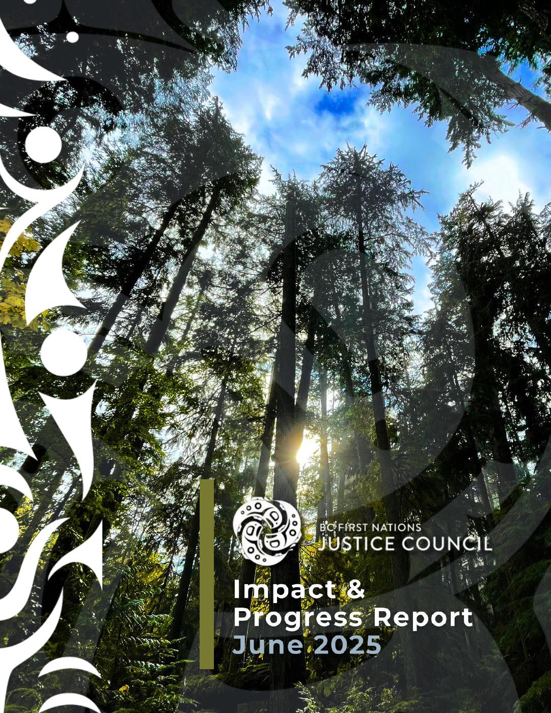 Justice Strategy 2025 Impact & Progress Report - FINAL | PDF to Flipbook