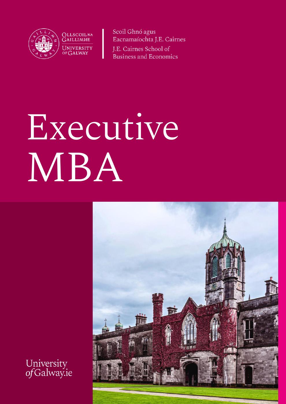 MBA Brochure - SBE - University of Galway