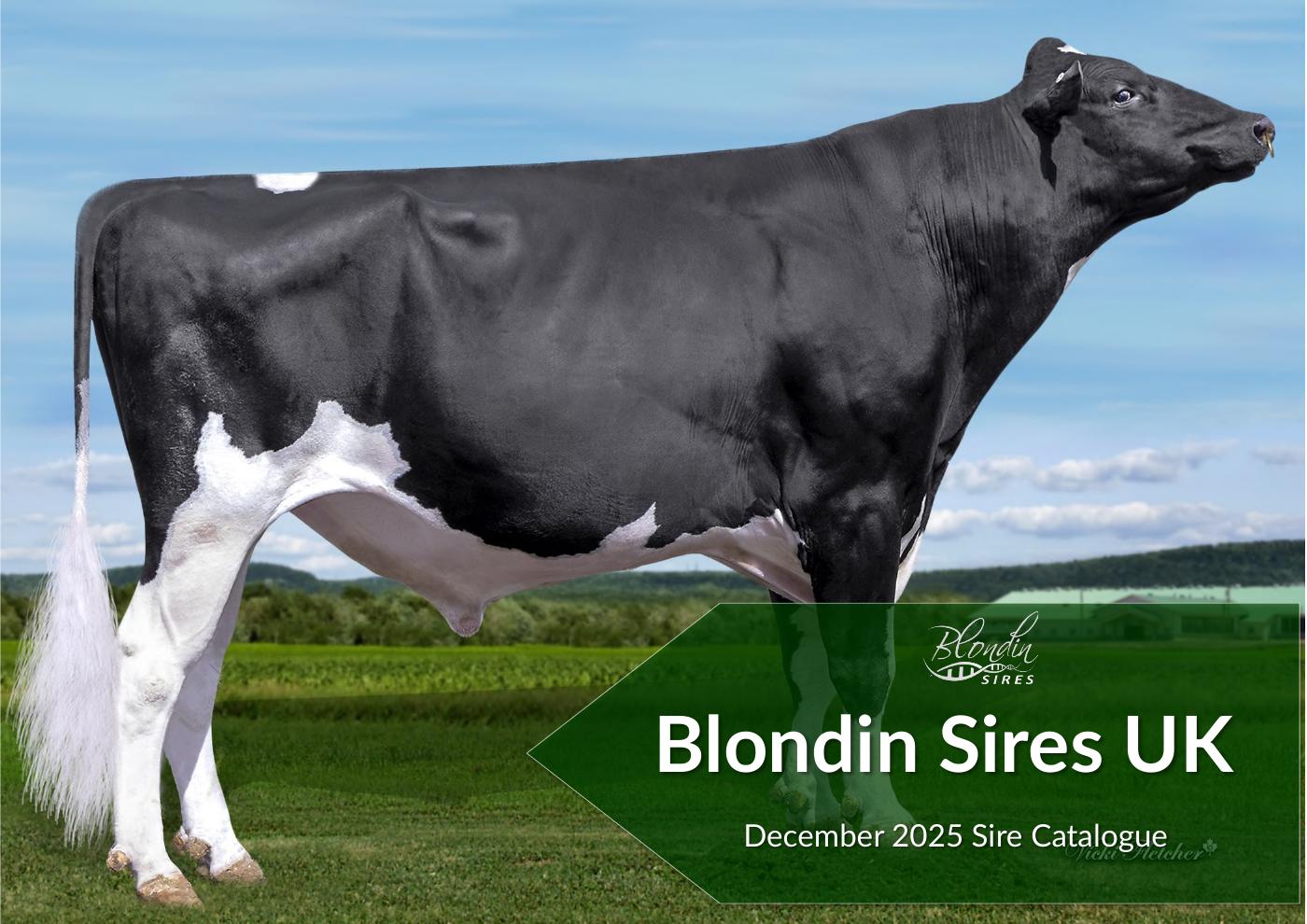 Blondin UK - December 2025 Catalogue