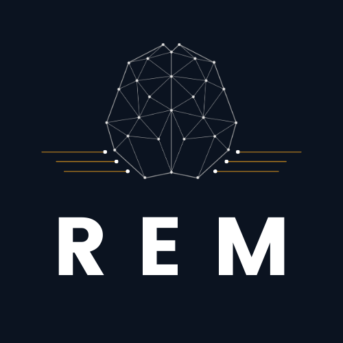The REM Coaching Success Formula