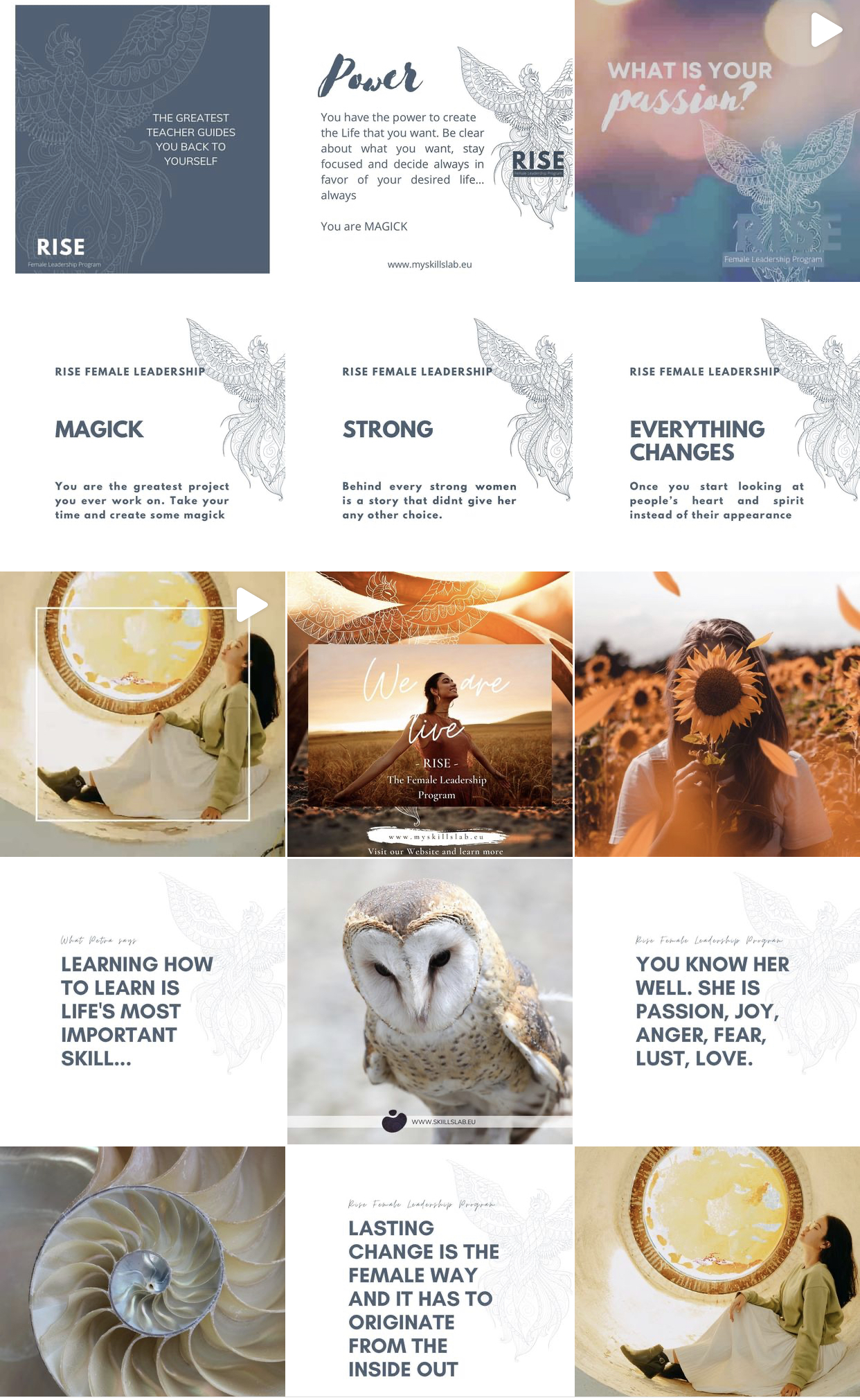 Online brochure Rise Program