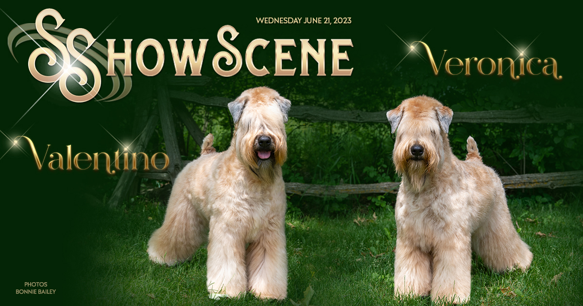 ShowScene-June 21, 2023 | PDF to Flipbook