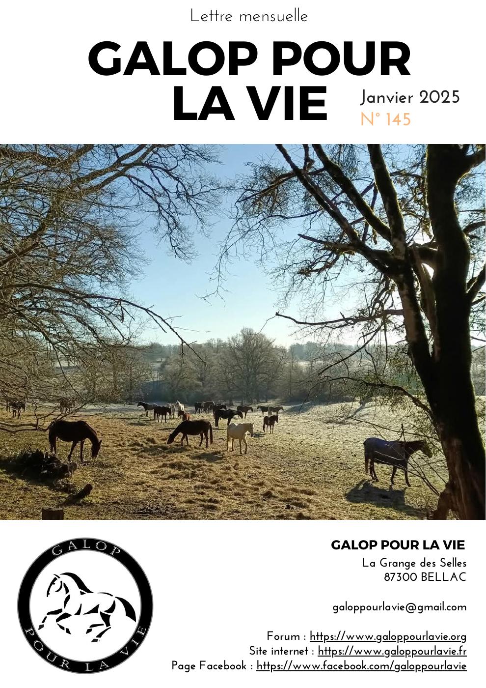 Lettre mensuelle GPLV n°145 - Janvier 2025