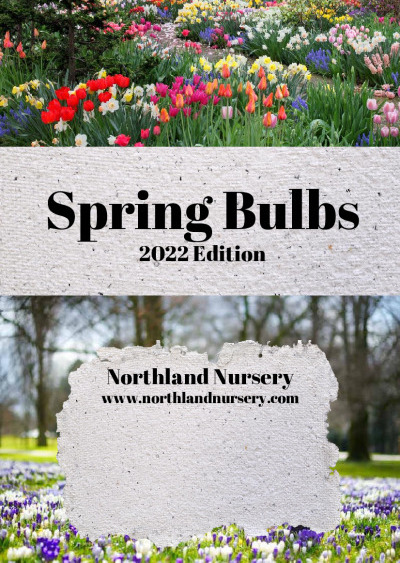 Northland Nursery Spring Bulb Catalog | PDF to Flipbook