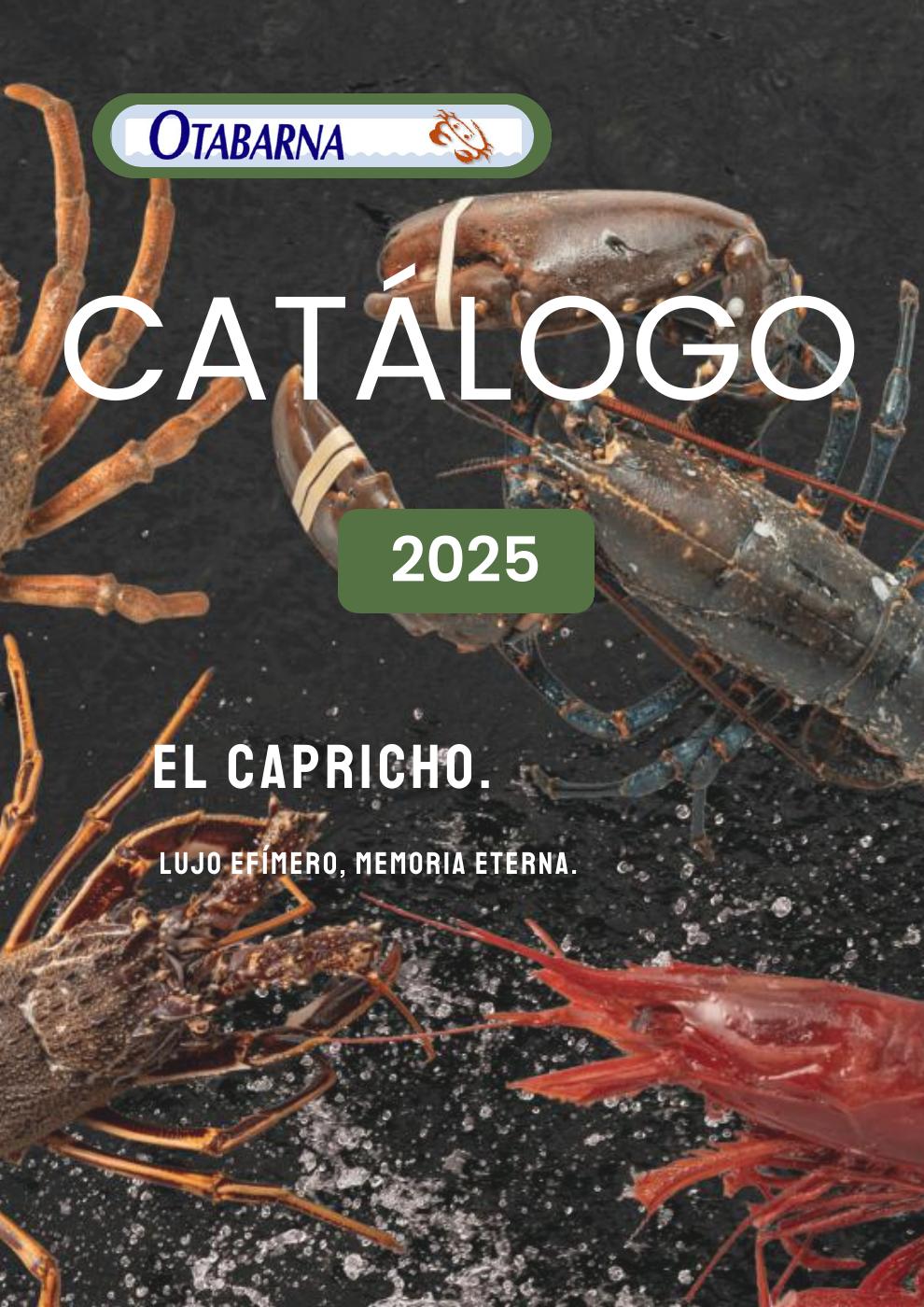 Catálogo Otabarna 2025 | PDF to Flipbook