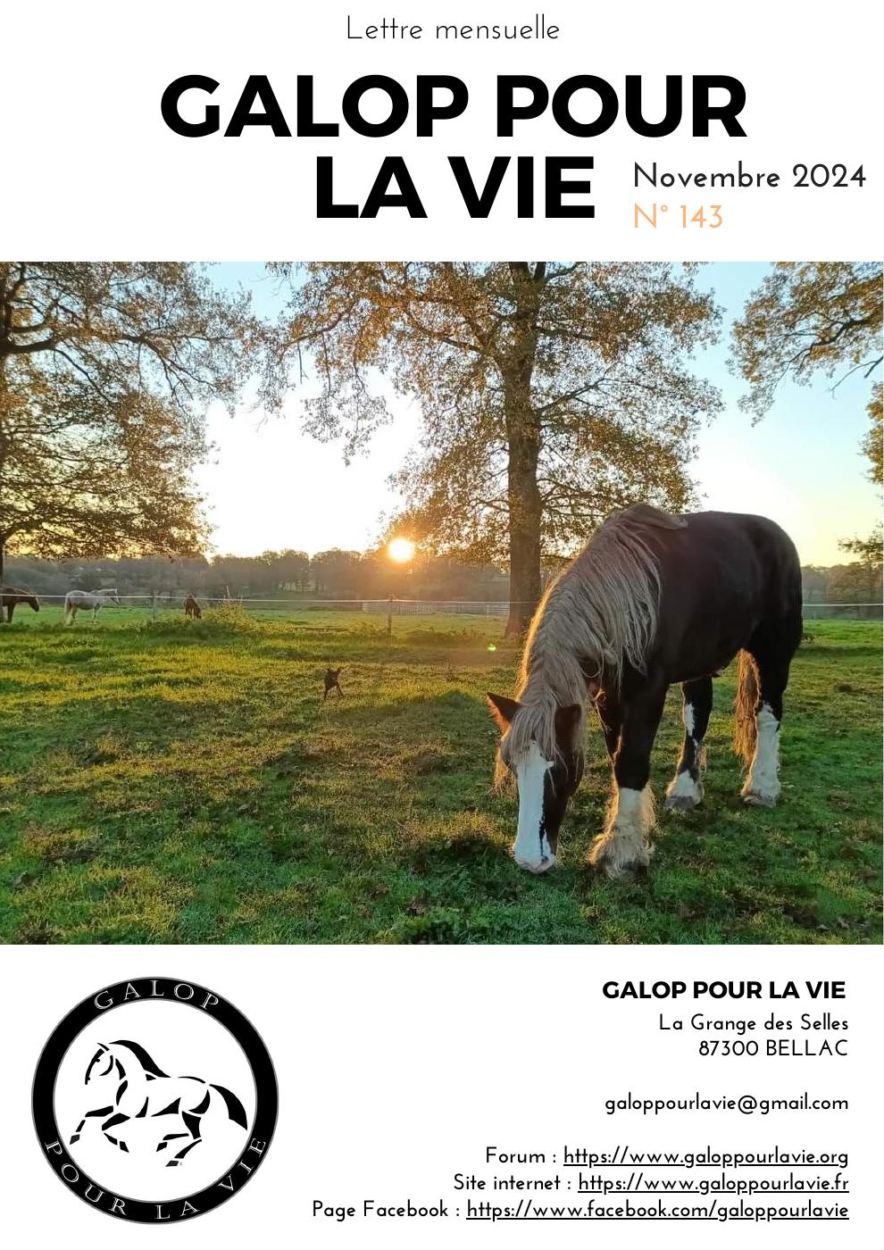 Lettre mensuelle GPLV n°143 - Novembre 2024