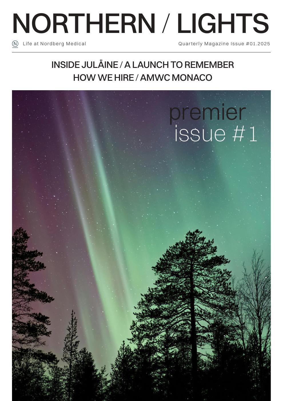 Northern Lights - Issue #01.2025